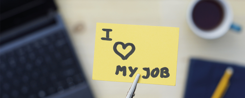 Pay or purpose: How do you find a job that ticks all your boxes ...